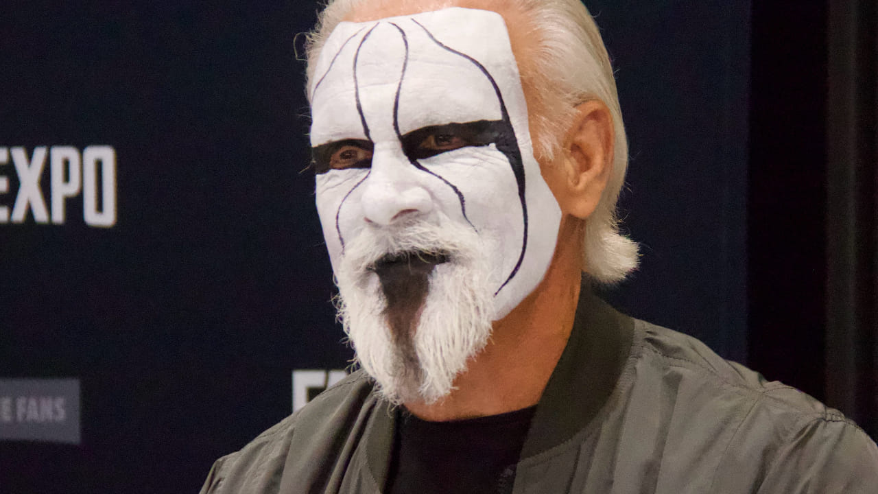 Sting Reflects on Retiring Iconic Face Paint After Farewell Tour ...